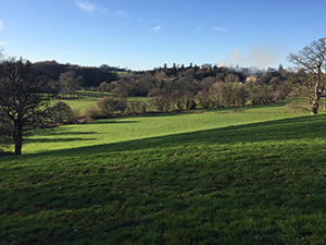 Segway Safari Devon - Segway Exeter - Segway Tour Devon & Exeter